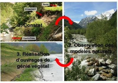 Génie Végétal en rivière de montagne - Principes